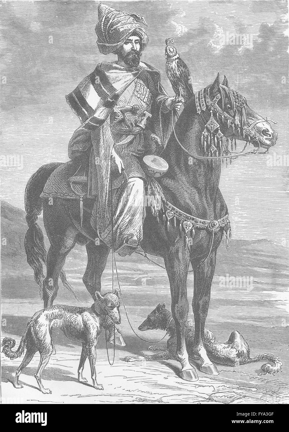 Varamin High Resolution Stock Photography and Images - Alamy