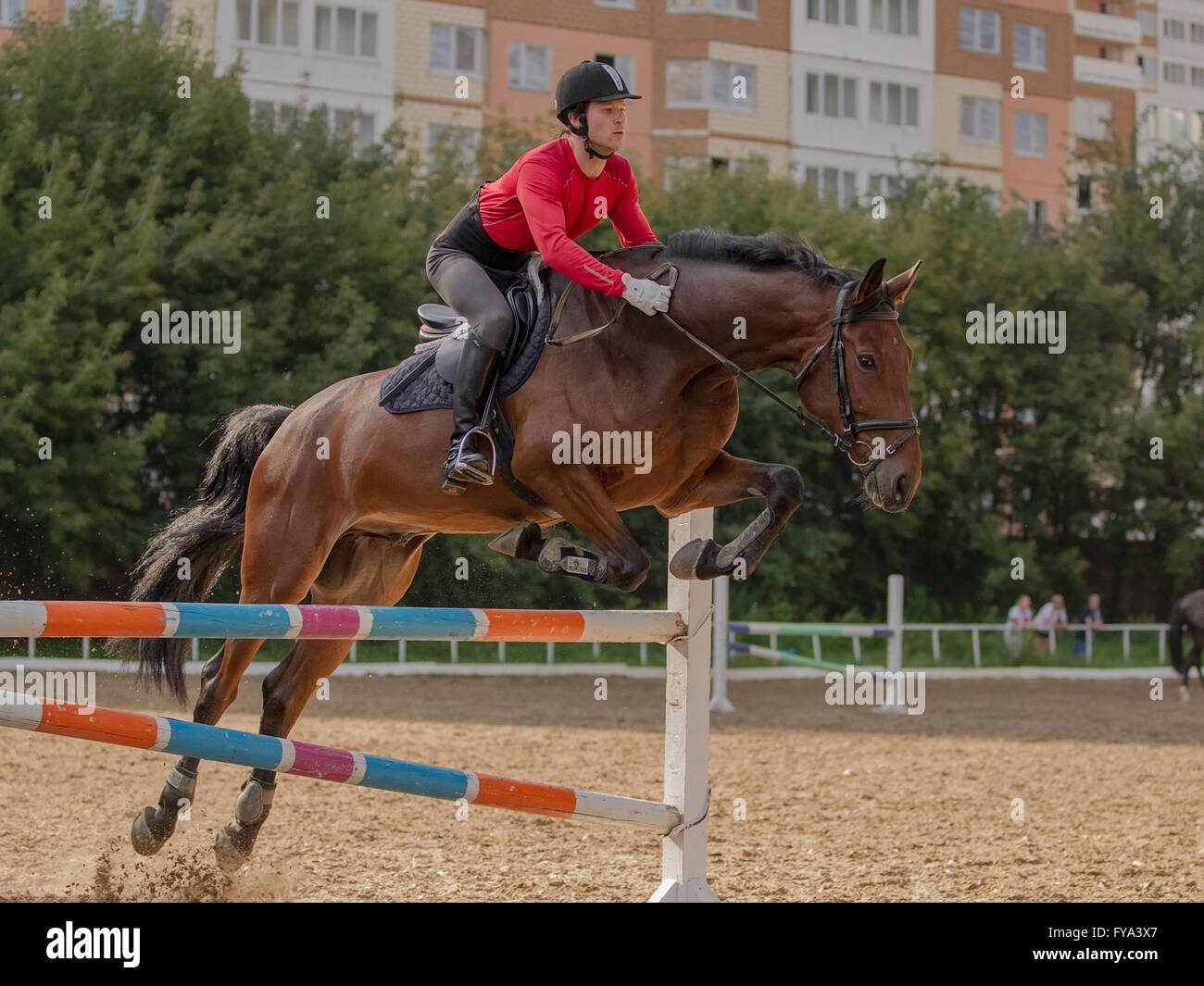 A horse jumps with a rider through an obstacle Stock Photo: 102870159 ...