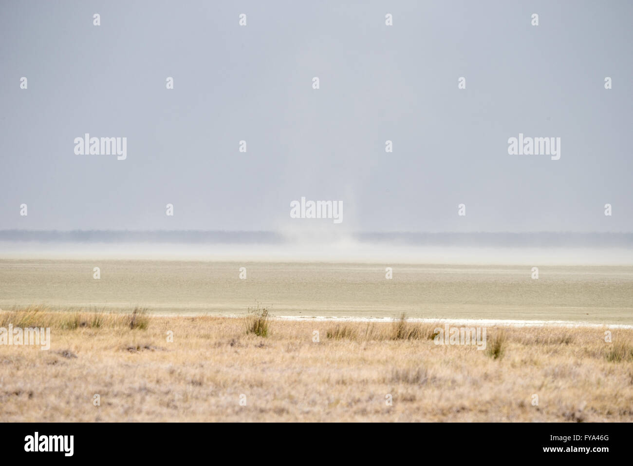 Dust devil, Etosha National Park, Namibia Stock Photo - Alamy