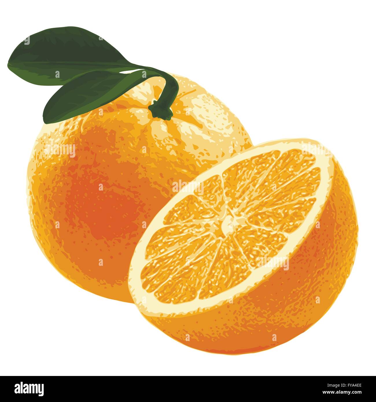 Green pear lemon tree Cut Out Stock Images & Pictures - Alamy