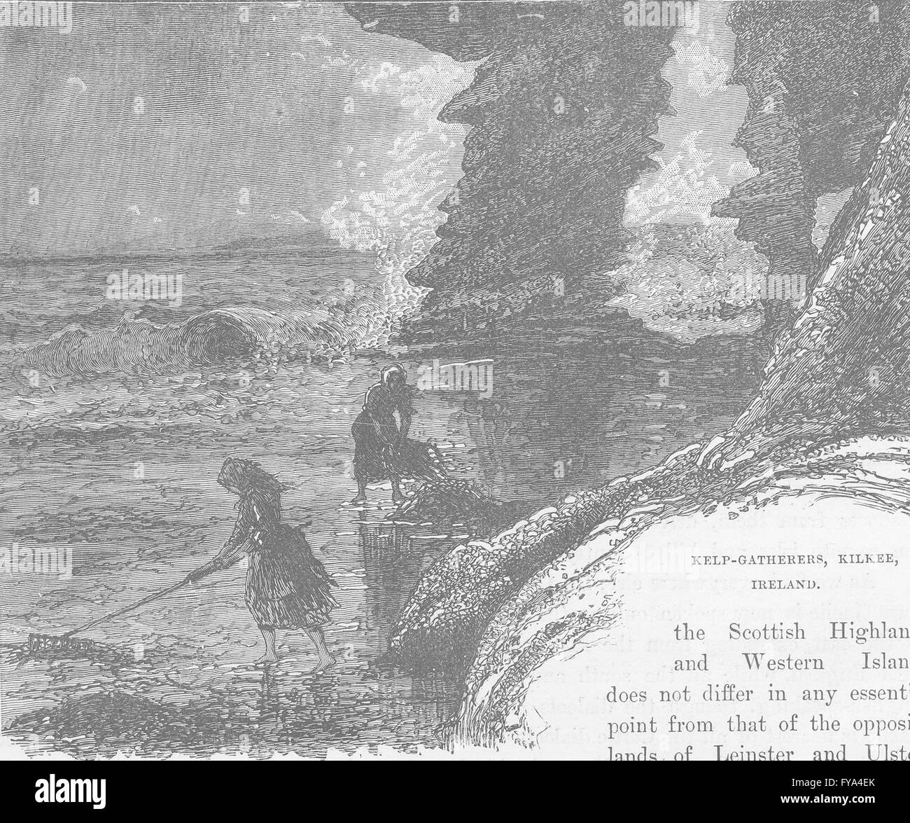IRELAND: Kelp-gatherers, Kilkee, Ireland, antique print 1893 Stock ...