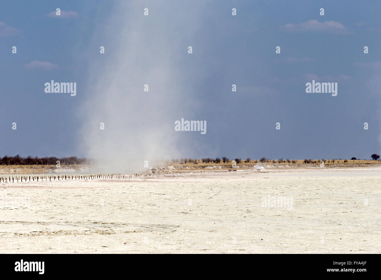 Dust devil, Etosha National Park, Namibia Stock Photo - Alamy