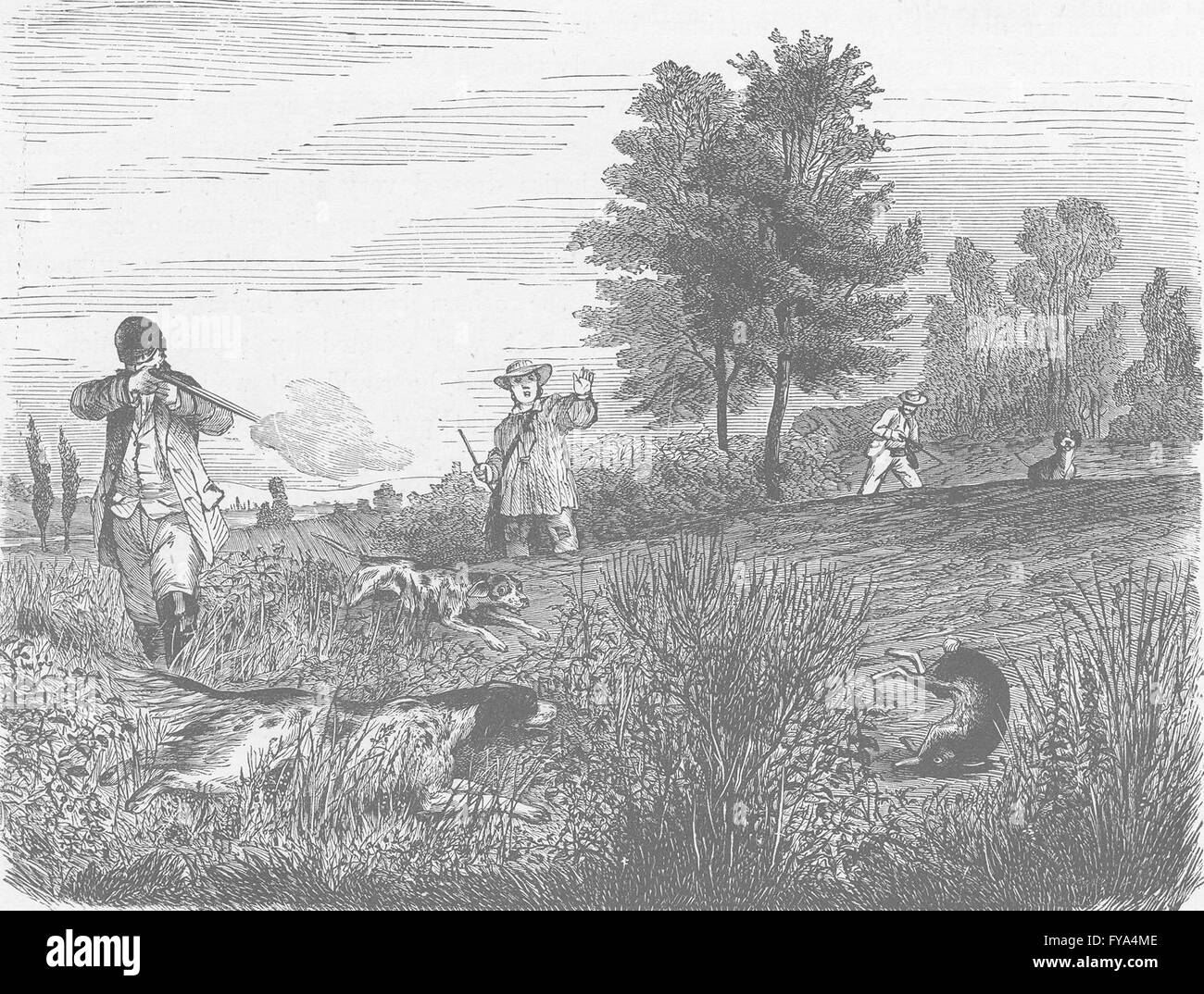 FRANCE: Hare-shooting in France, antique print 1894 Stock Photo - Alamy