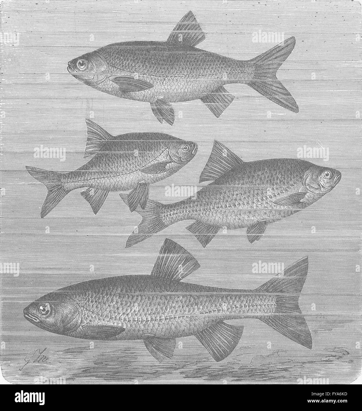 Richard rudd hi-res stock photography and images - Alamy