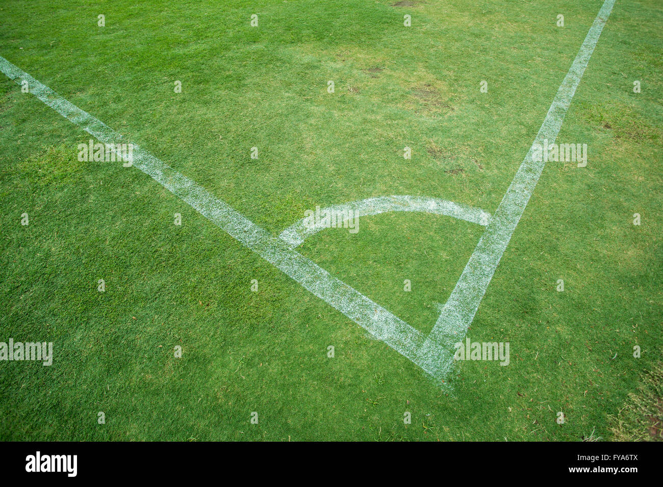soccer field with white stripe conner Stock Photo - Alamy