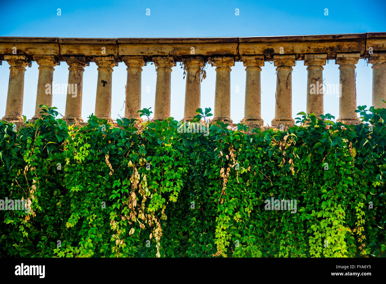 Wall with ivi and weathered historic balustrade Stock Photo - Alamy