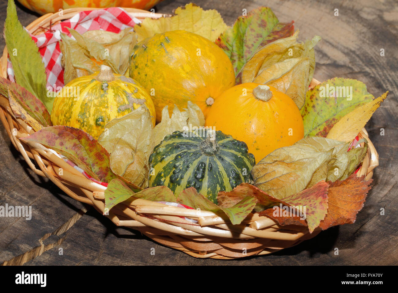 Basket with ornamental gourds, autumn leaves, various nuts and physalis ...