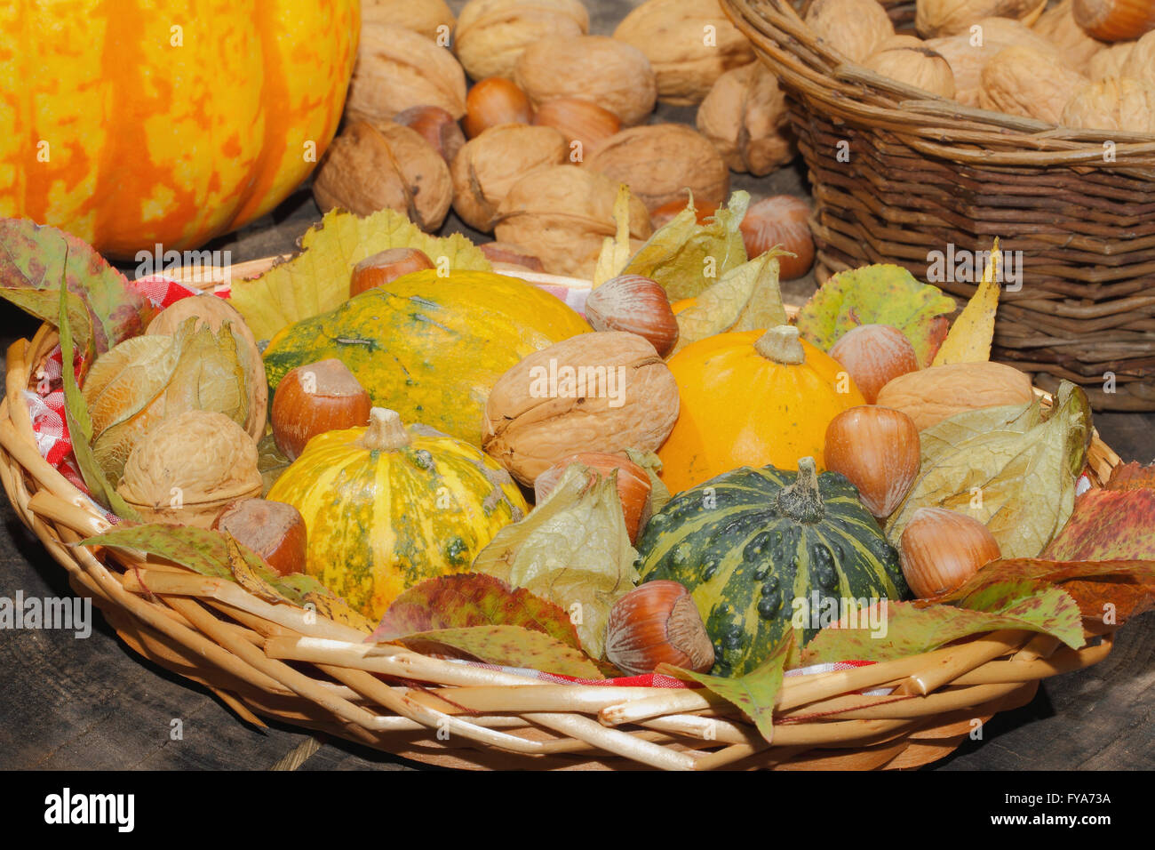 Ornamental gourds hi-res stock photography and images - Alamy
