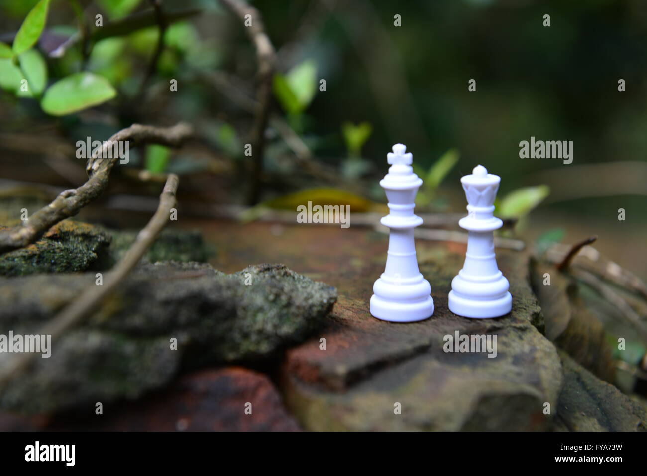 Chess as hobby hi-res stock photography and images - Alamy