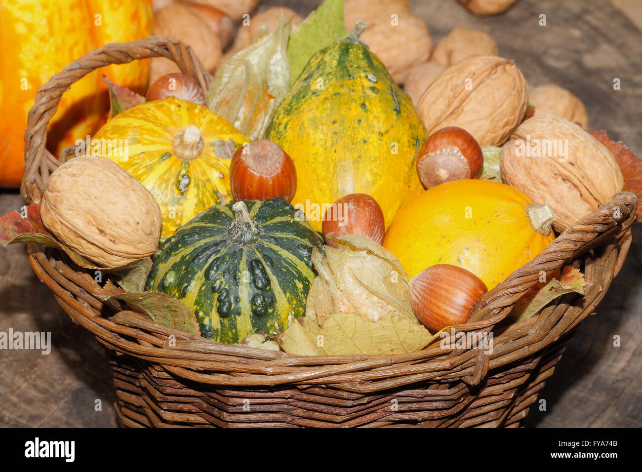 Basket with ornamental gourds, autumn leaves, various nuts and physalis ...