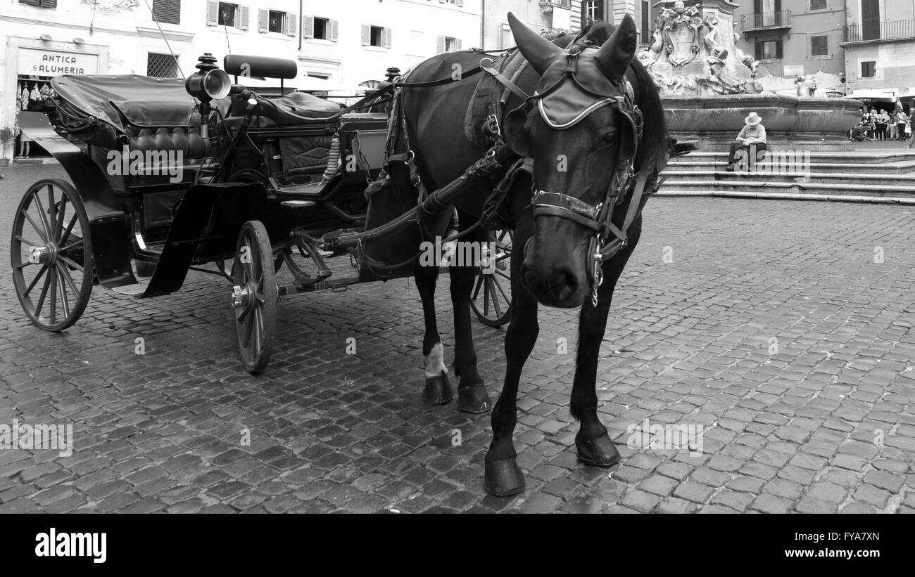 Camera carriage Black and White Stock Photos & Images - Alamy