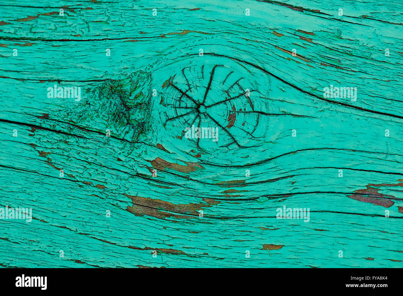 texture sawing logs on the longitudinal section showing cut along ...