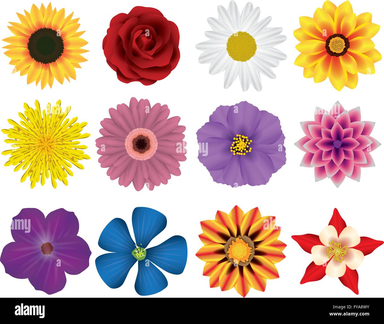 Illustration Vector Graphic Set Flowers for the creative use in graphic ...
