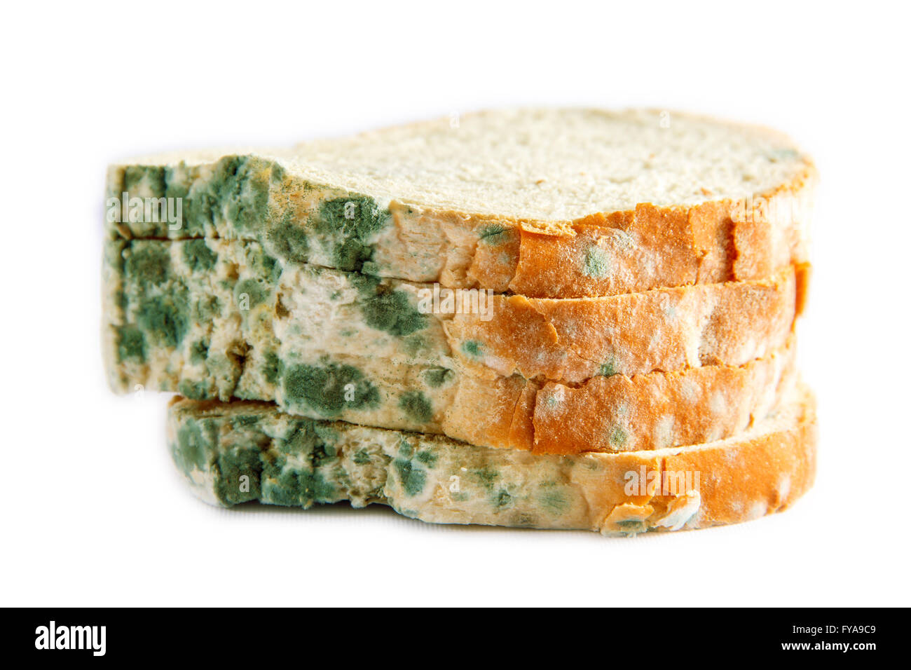 Moldy bread hi-res stock photography and images - Alamy