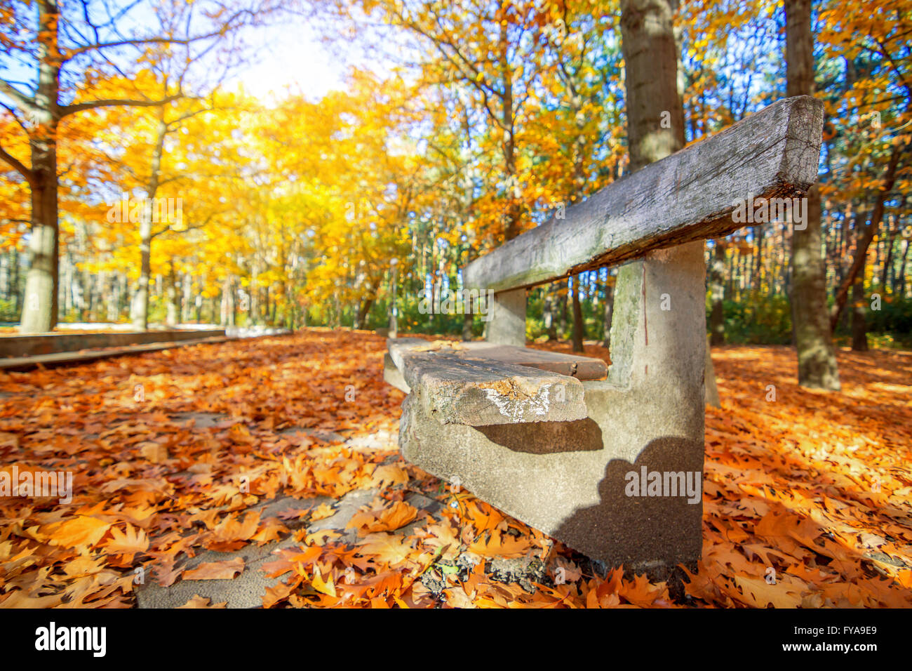 Beautiful old bench hi-res stock photography and images - Alamy