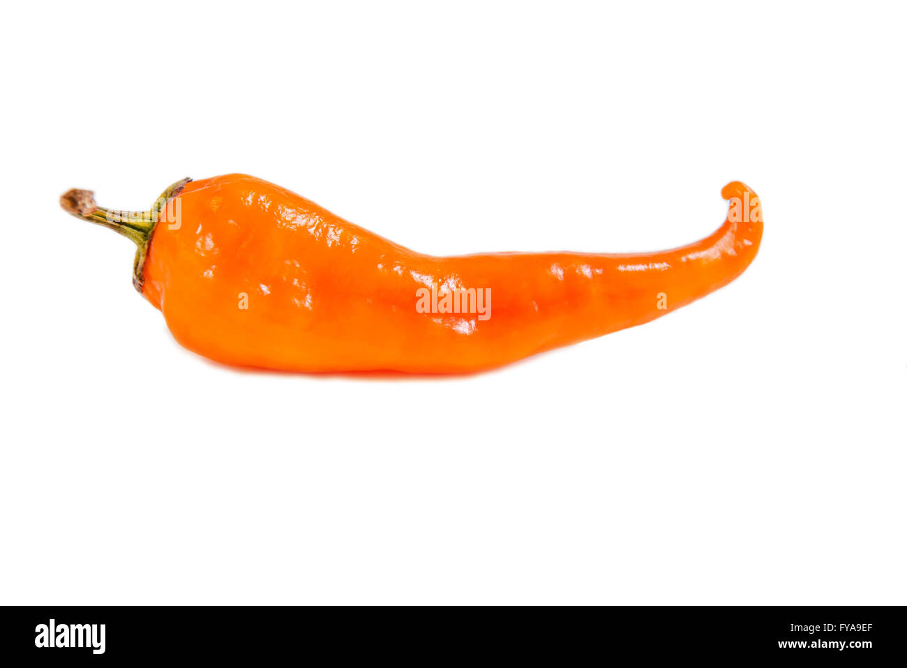 orange hot chili pepper isolated on a white background Stock Photo - Alamy