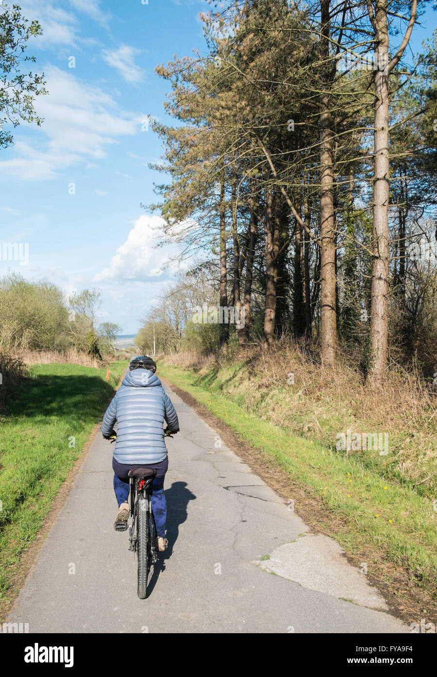 Pembrey country park llanelli hi-res stock photography and images - Alamy