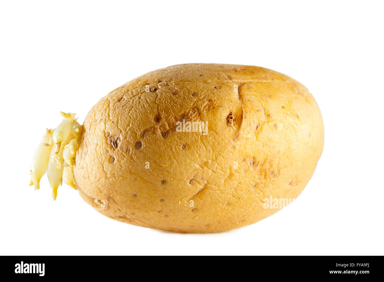 raw brown potato isolated on white background Stock Photo - Alamy