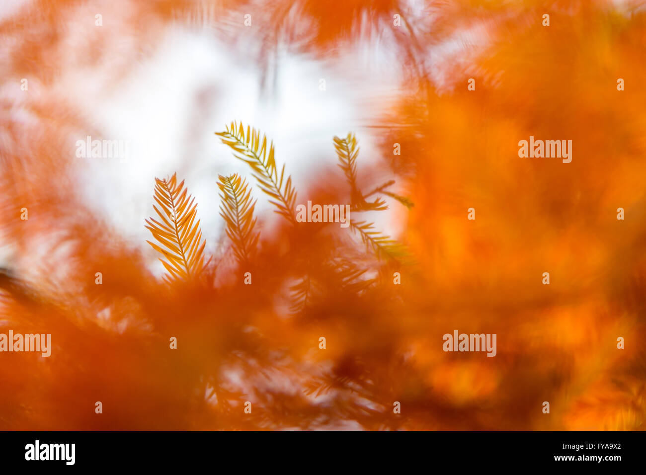 Blinking colors hi-res stock photography and images - Alamy