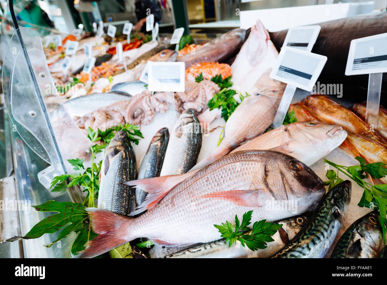 Fresh seafood on ice at the fish market Stock Photo - Alamy