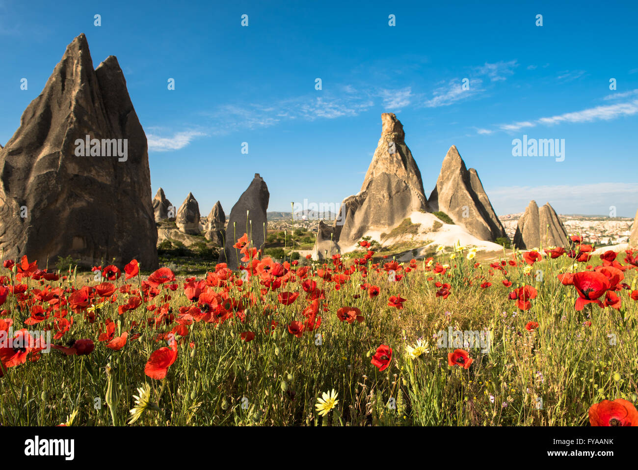 Rock formations and red flowers of Cappadocia in Central Anatolia ...