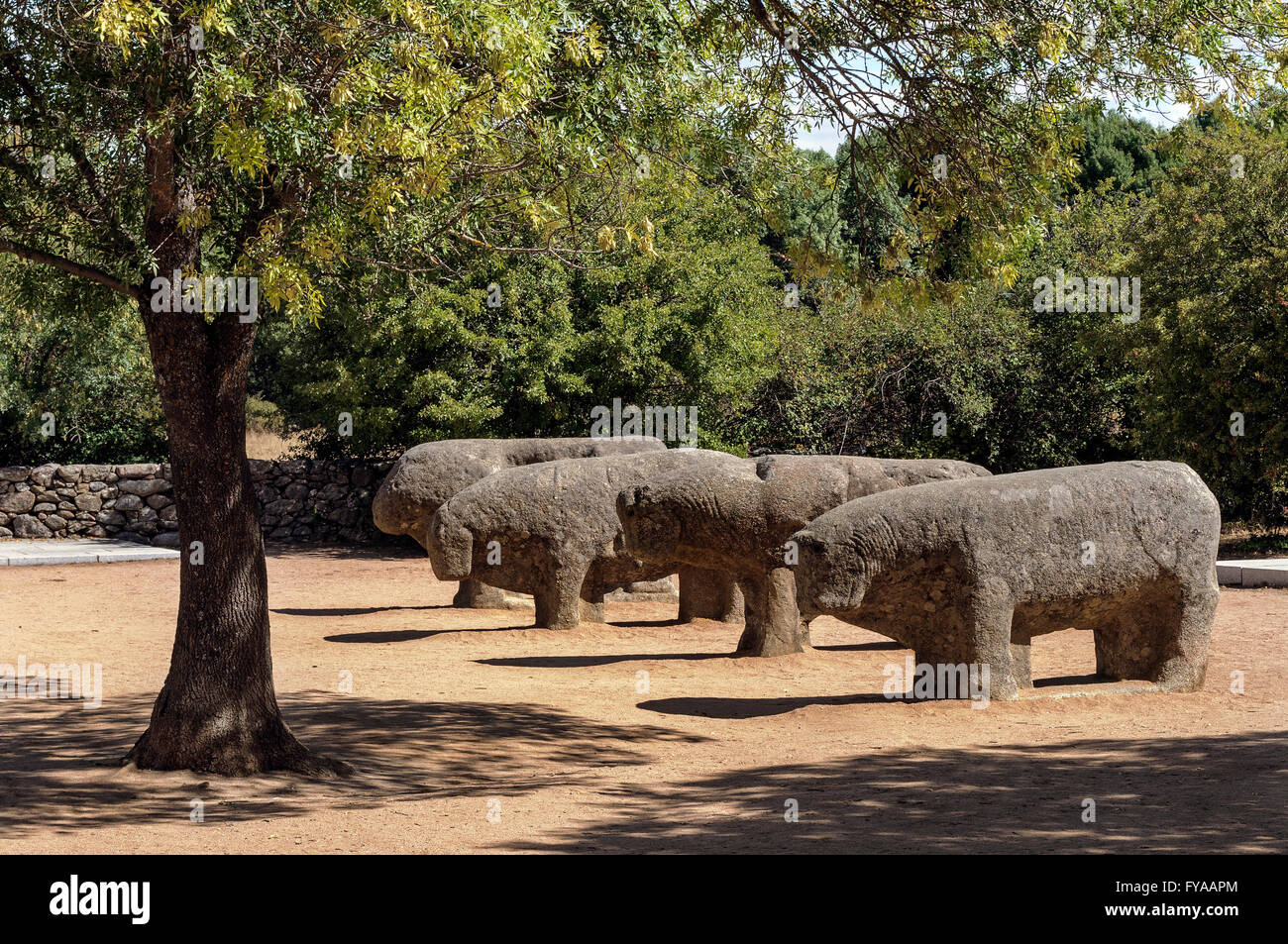 Toros de guisando hi-res stock photography and images - Alamy