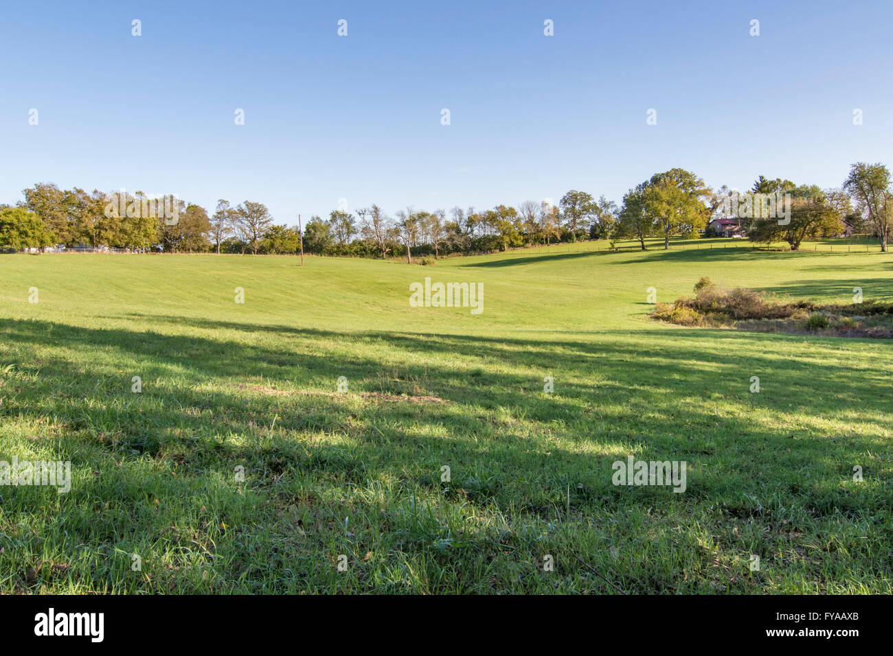 Pasture in the rolling Kentucky Bluegrass region Stock Photo - Alamy