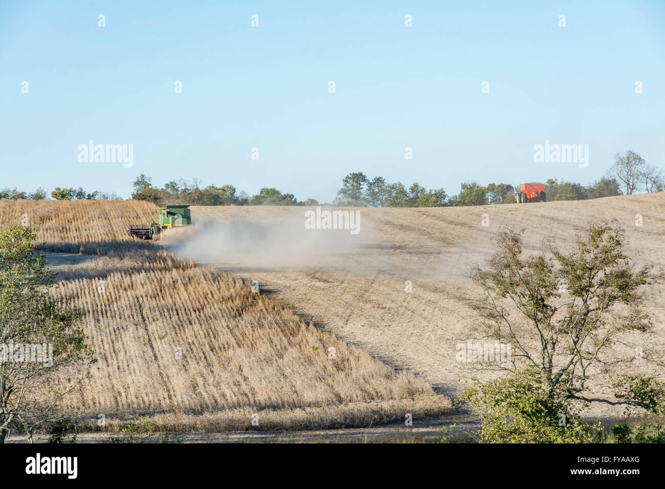 Harvesting corn in Kentucky USA Stock Photo - Alamy