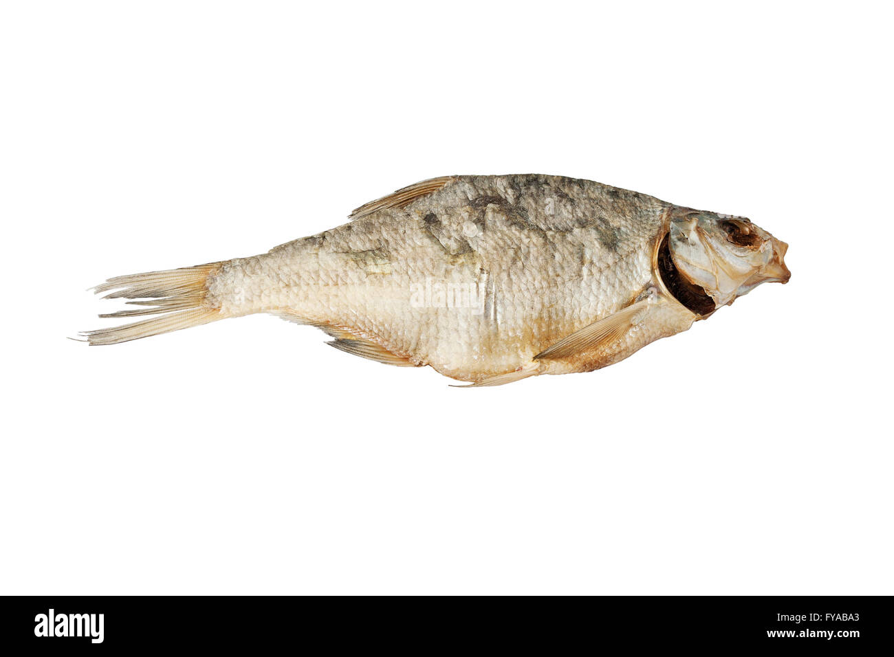 fish, salted, food, seafood, white, salt, dried, isolated, traditional ...