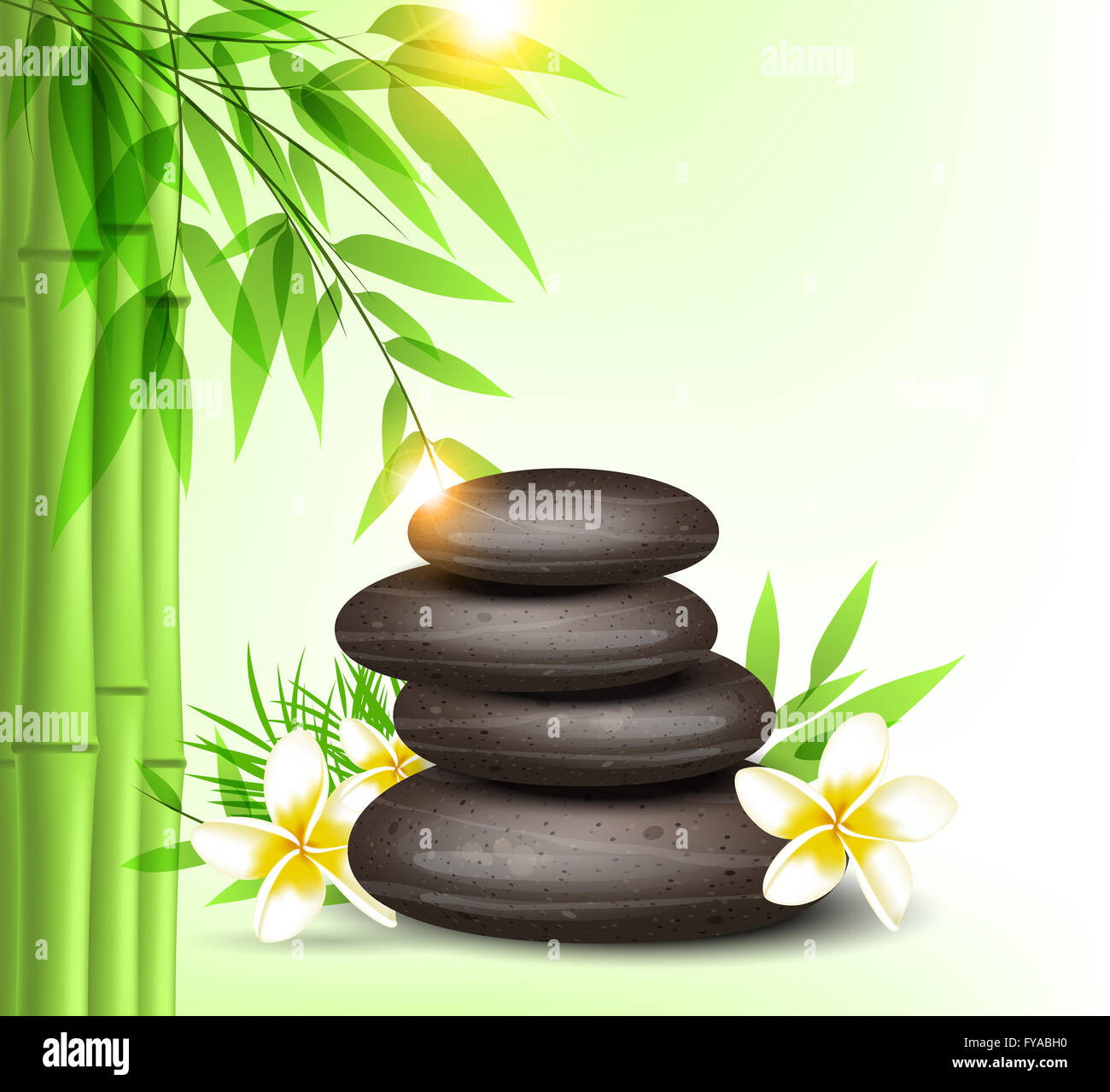 Green Spa Background