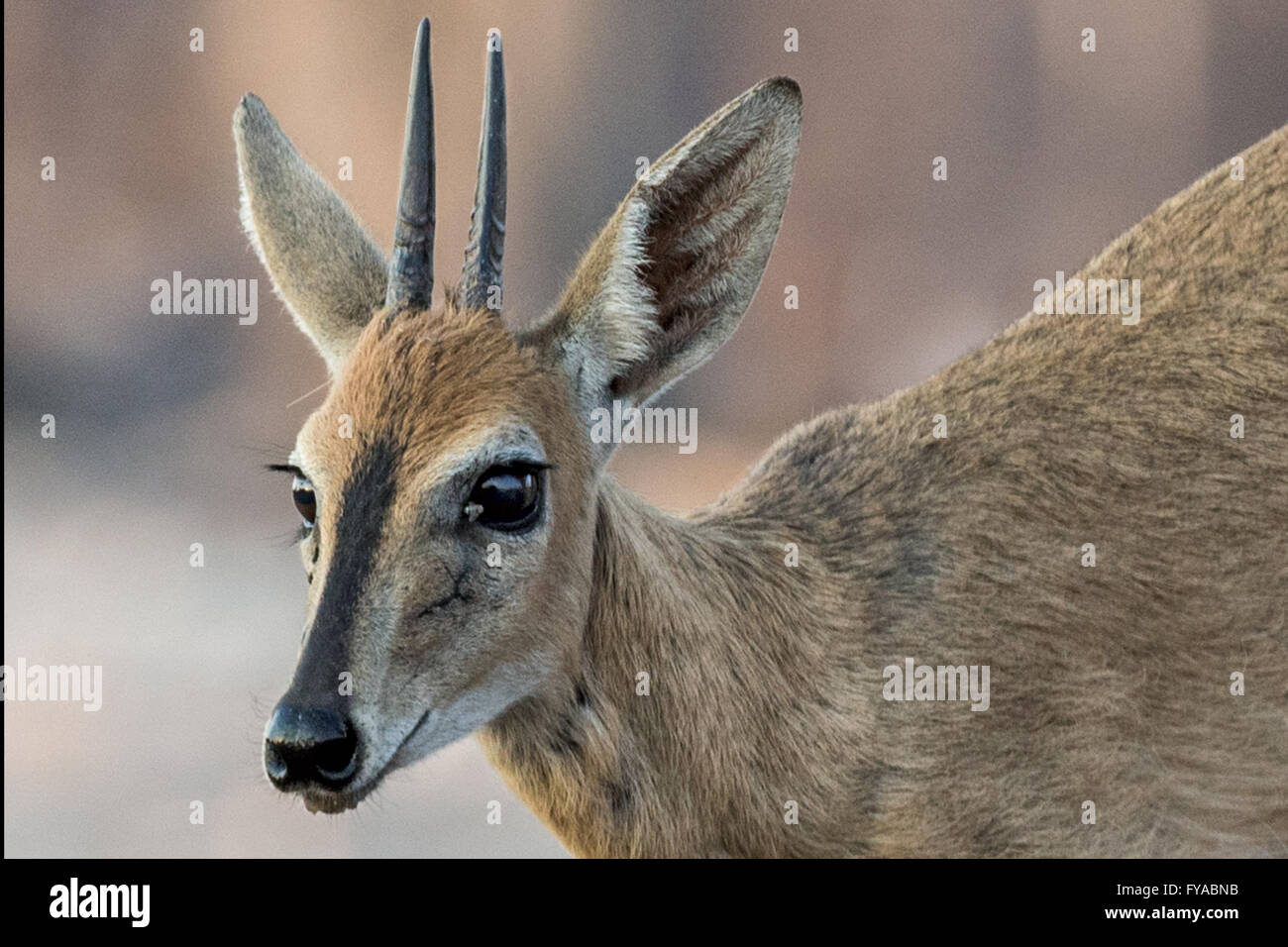 Drink aware hi-res stock photography and images - Alamy