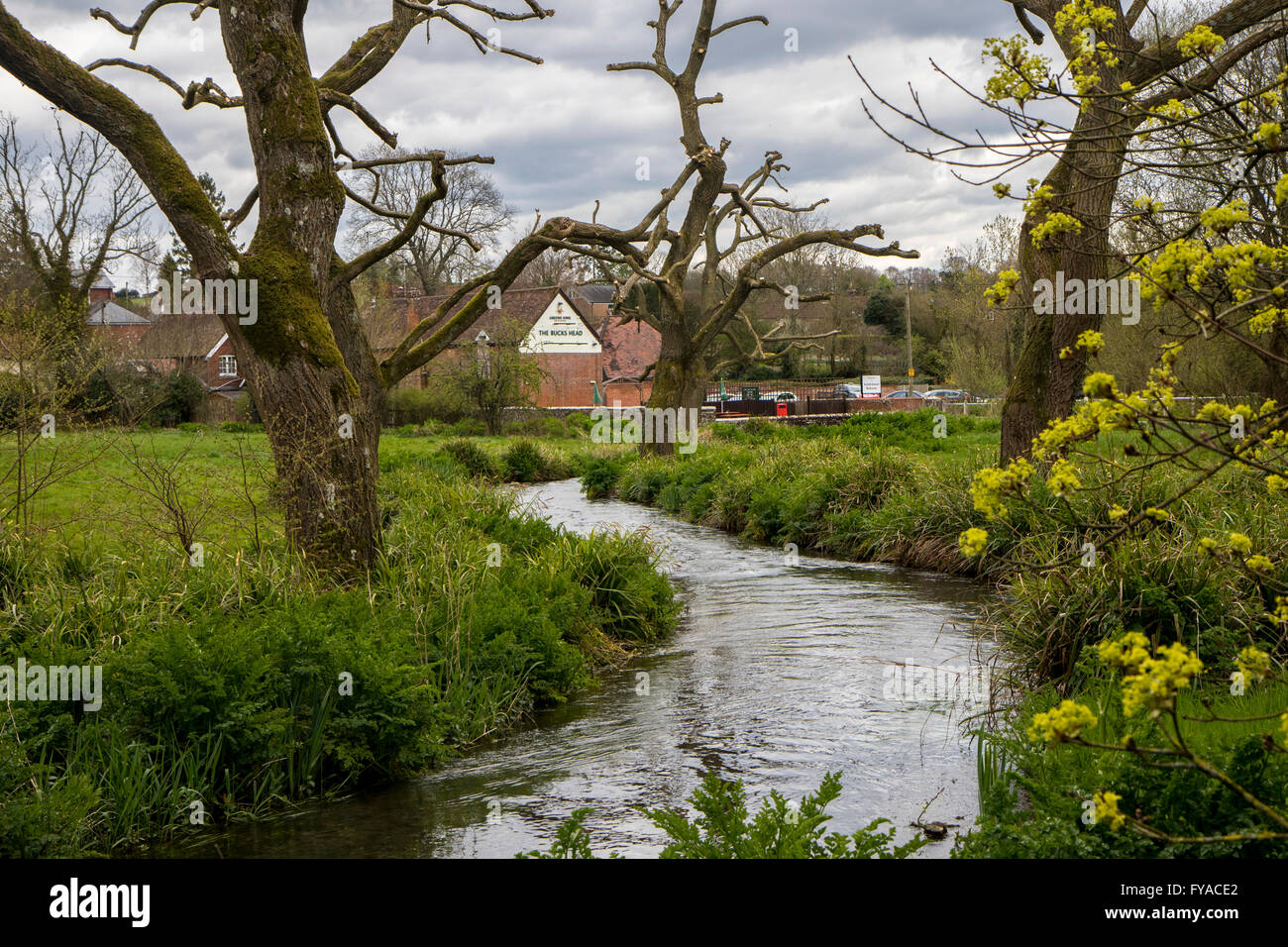 River Meon Hampshire High Resolution Stock Photography and Images - Alamy