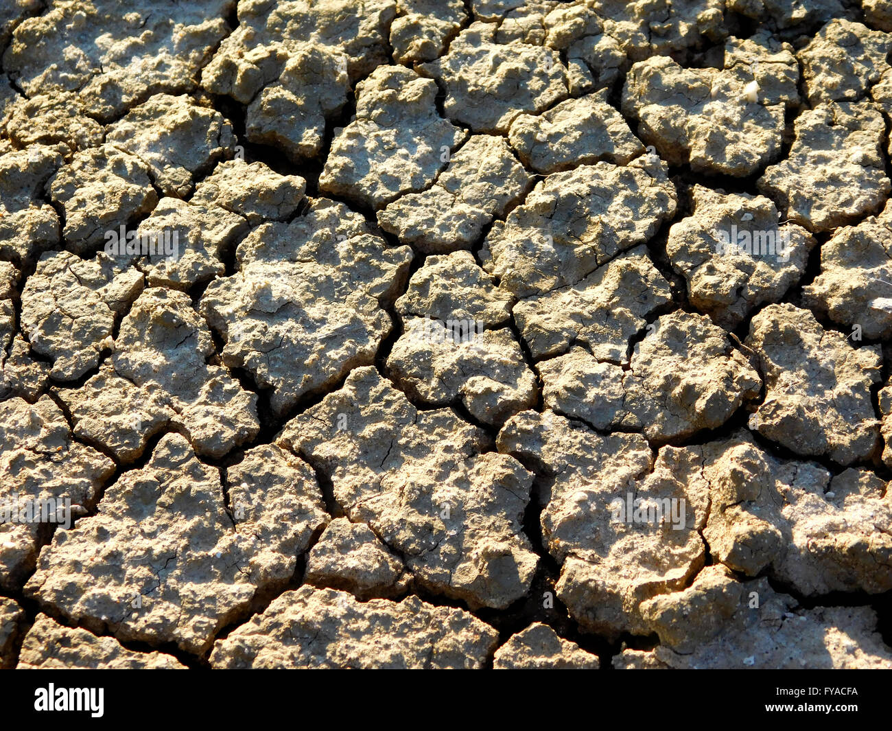 texture of land Stock Photo - Alamy