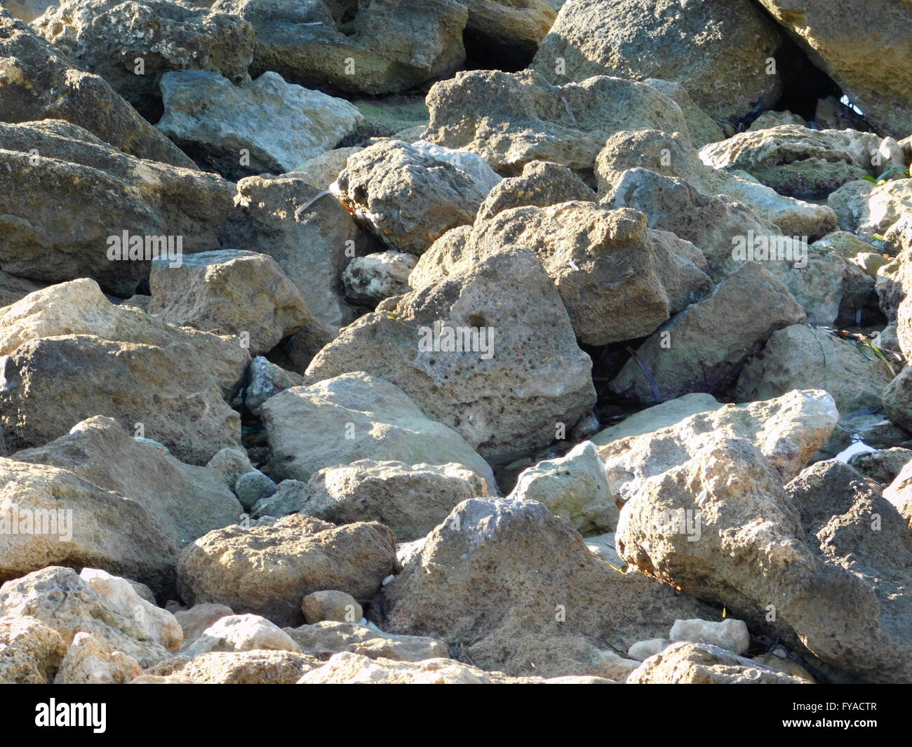 stones and rocks Stock Photo - Alamy
