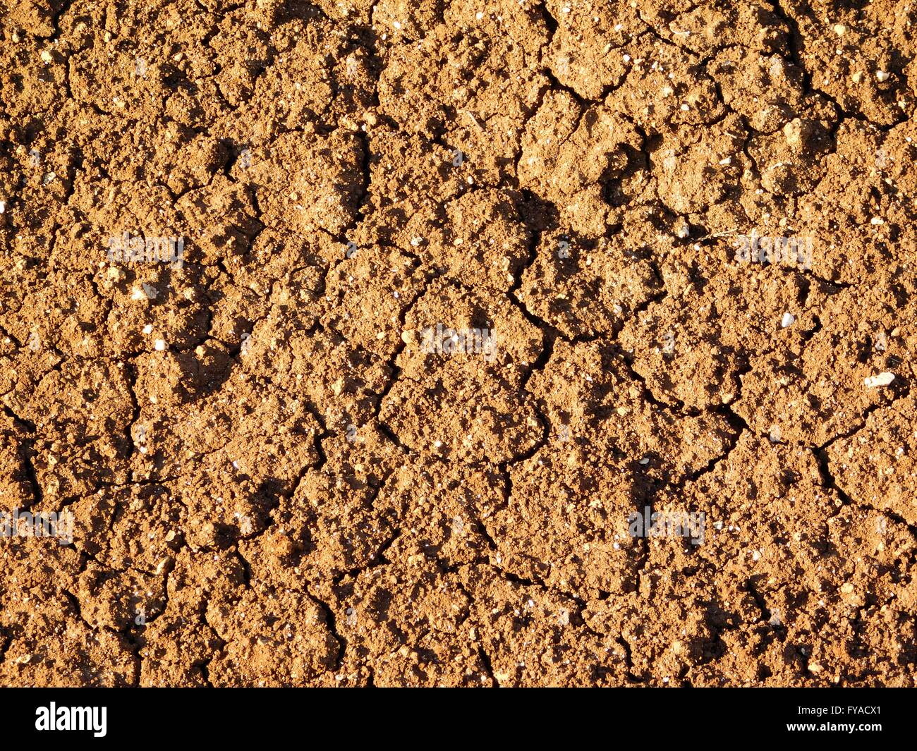 texture of land Stock Photo - Alamy