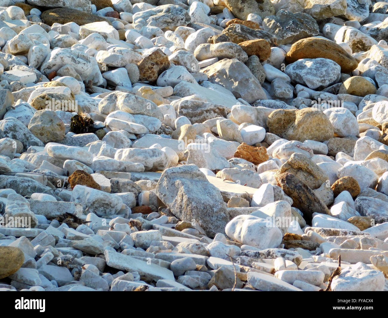 stones and rocks Stock Photo - Alamy