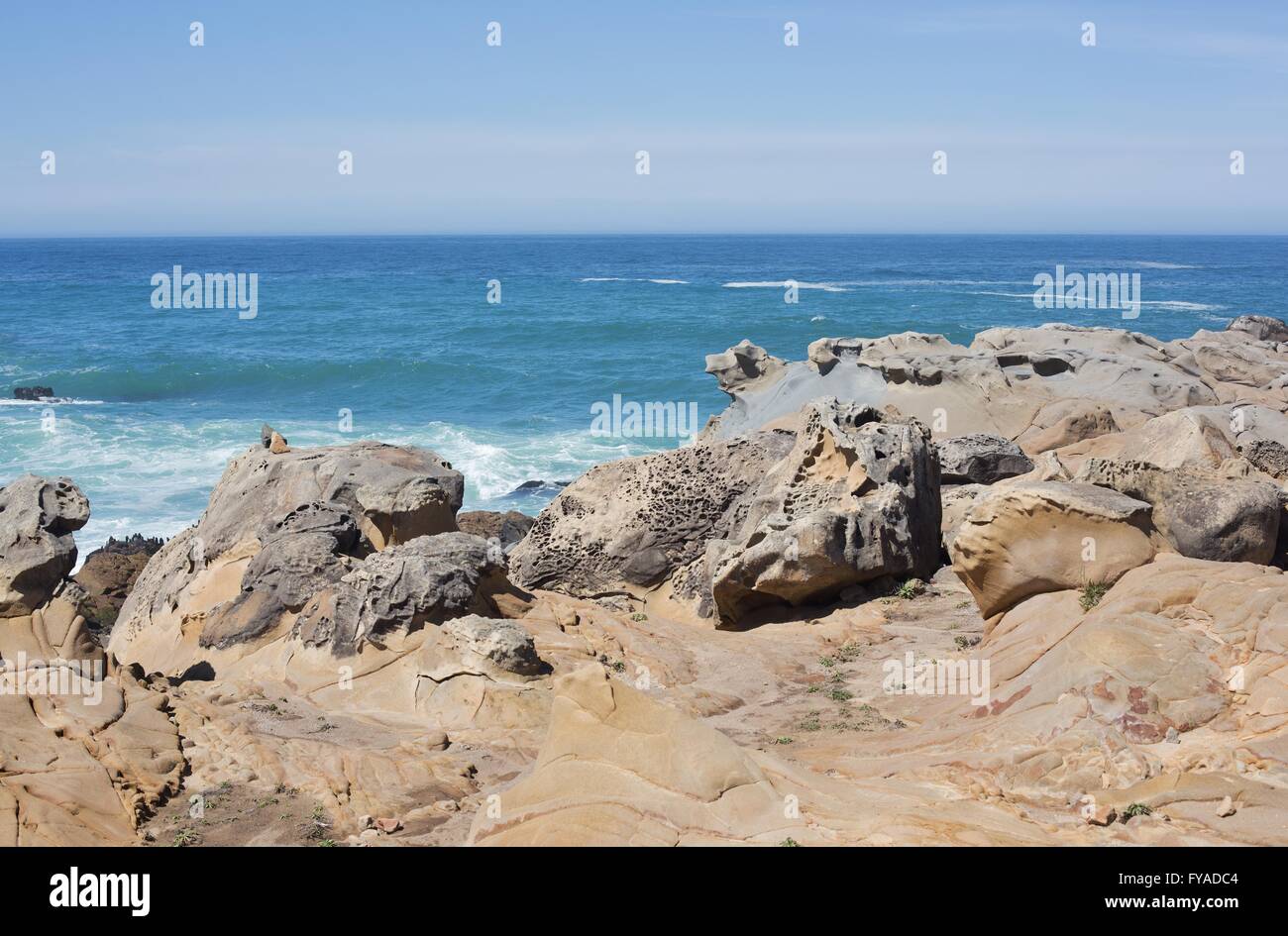 Rock formations at Salt Point State Park on the northern California ...