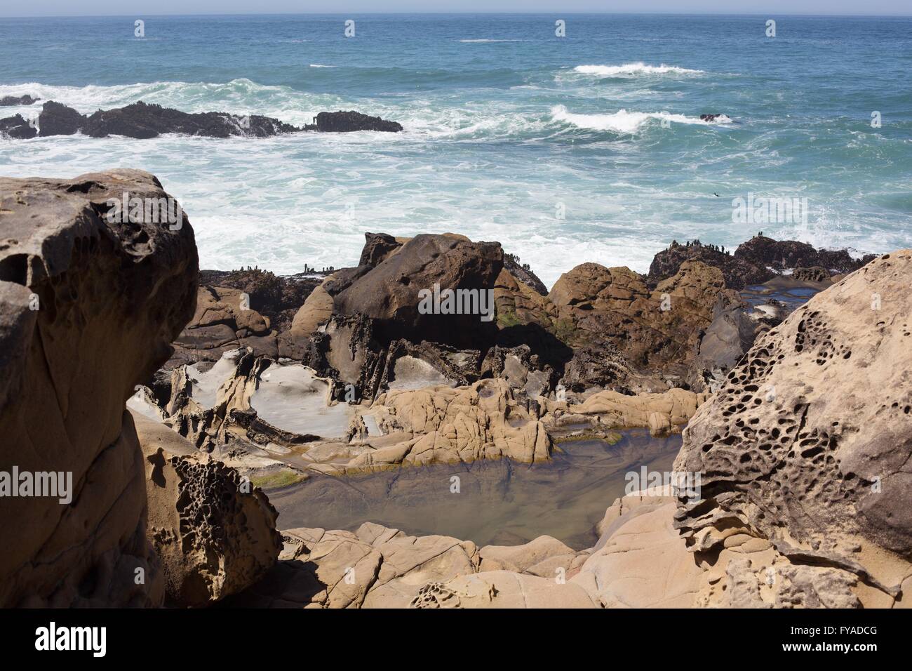 Rock formations at Salt Point State Park on the northern California ...