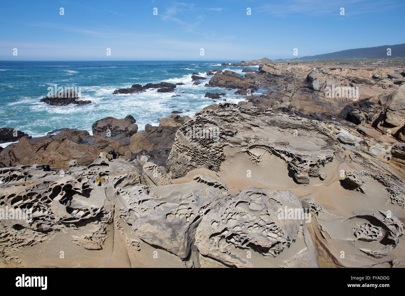 Rock formations at Salt Point State Park on the northern California ...