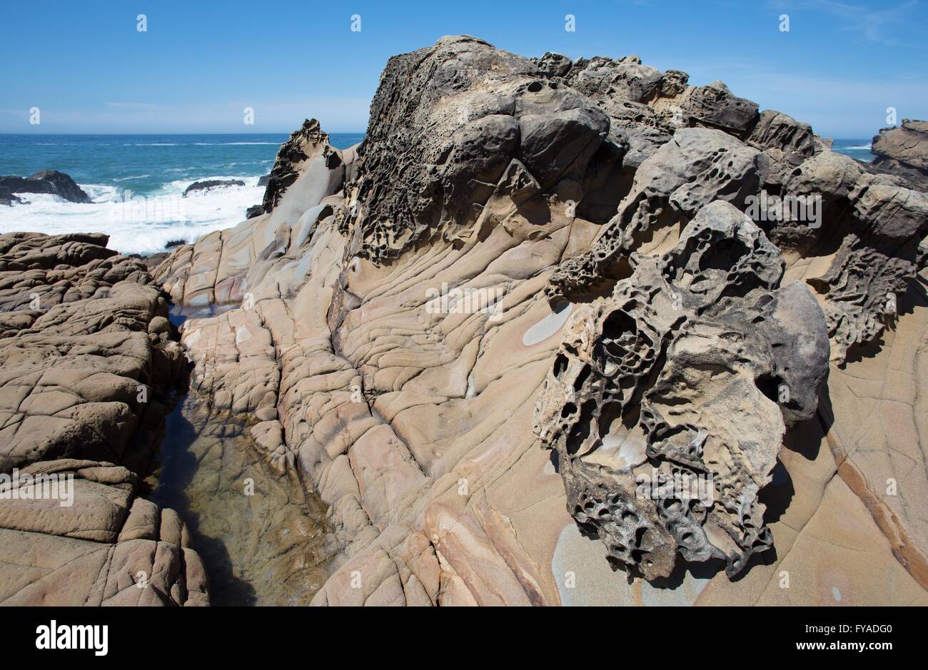 Rock formations at Salt Point State Park on the northern California ...