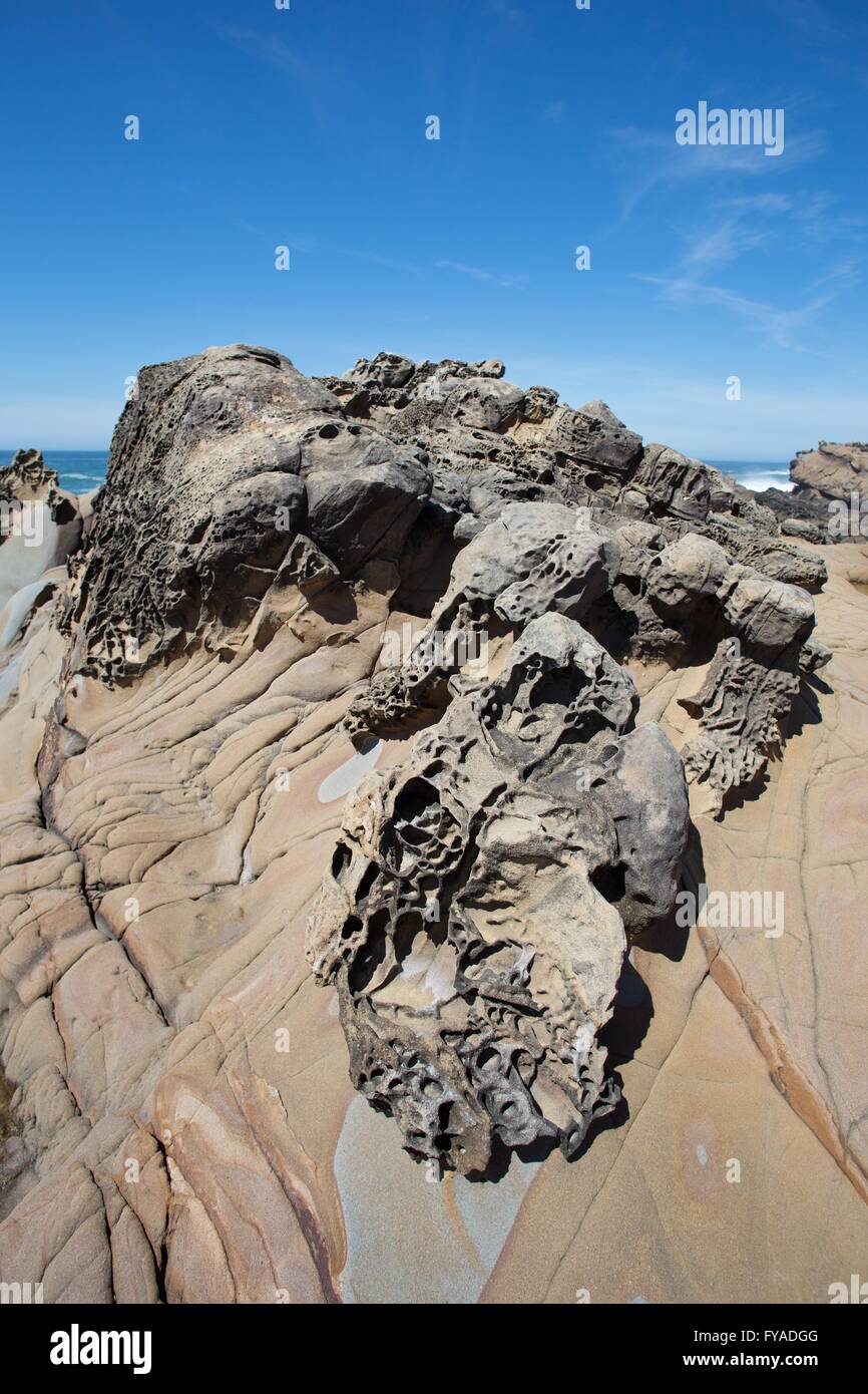 Rock formations at Salt Point State Park on the northern California ...