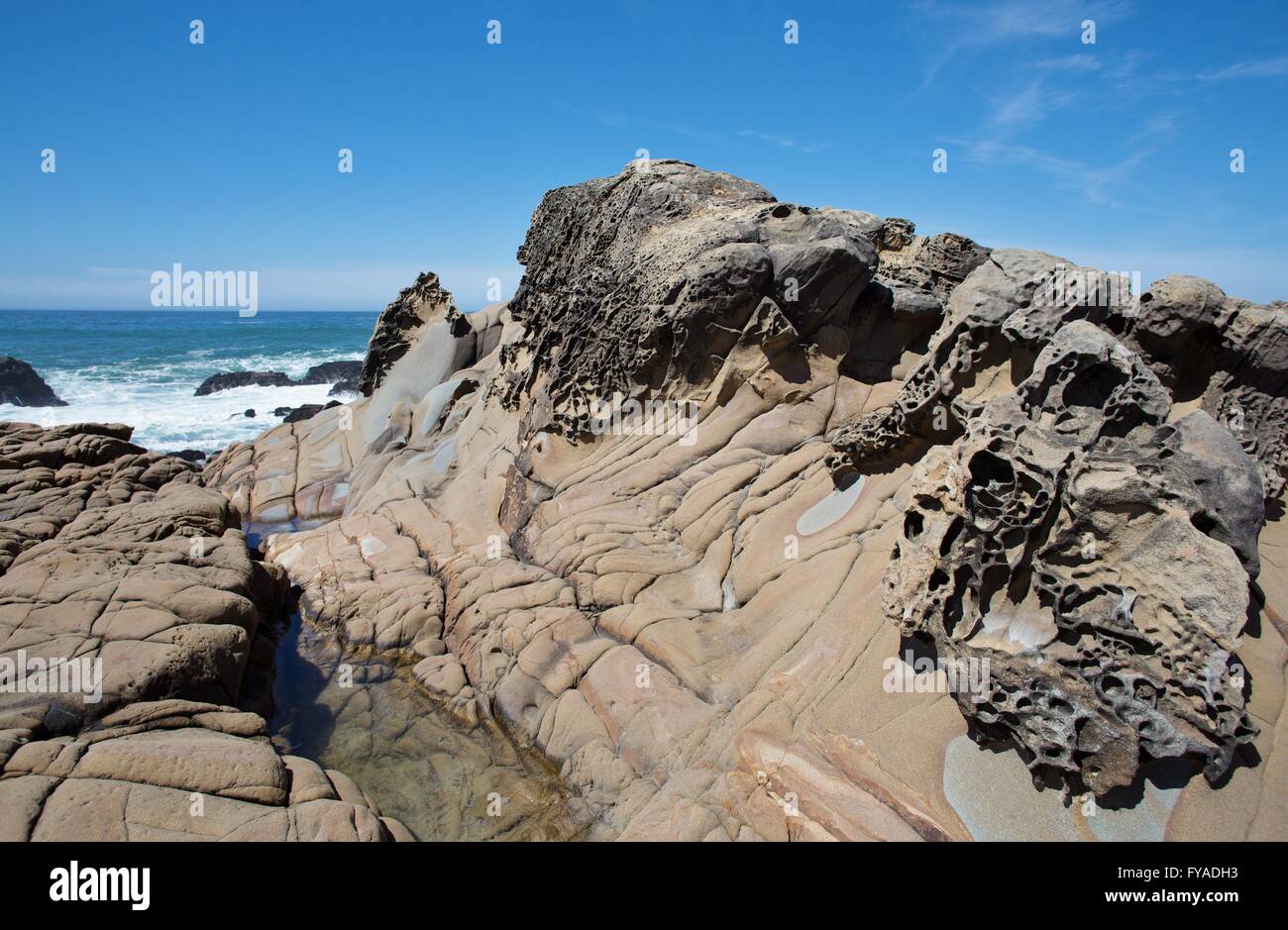 Rock formations at Salt Point State Park on the northern California ...
