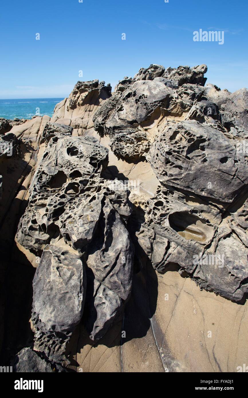 Rock formations at Salt Point State Park on the northern California ...