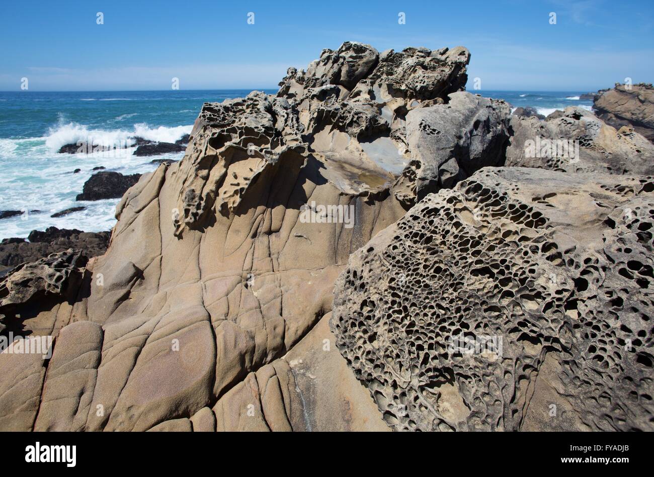 Rock formations at Salt Point State Park on the northern California ...