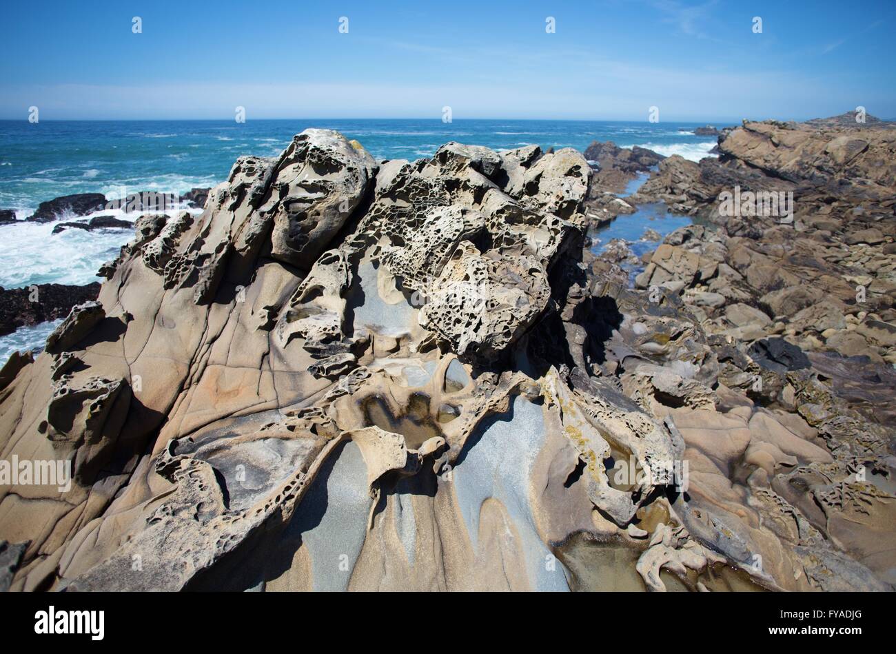 Rock formations at Salt Point State Park on the northern California ...