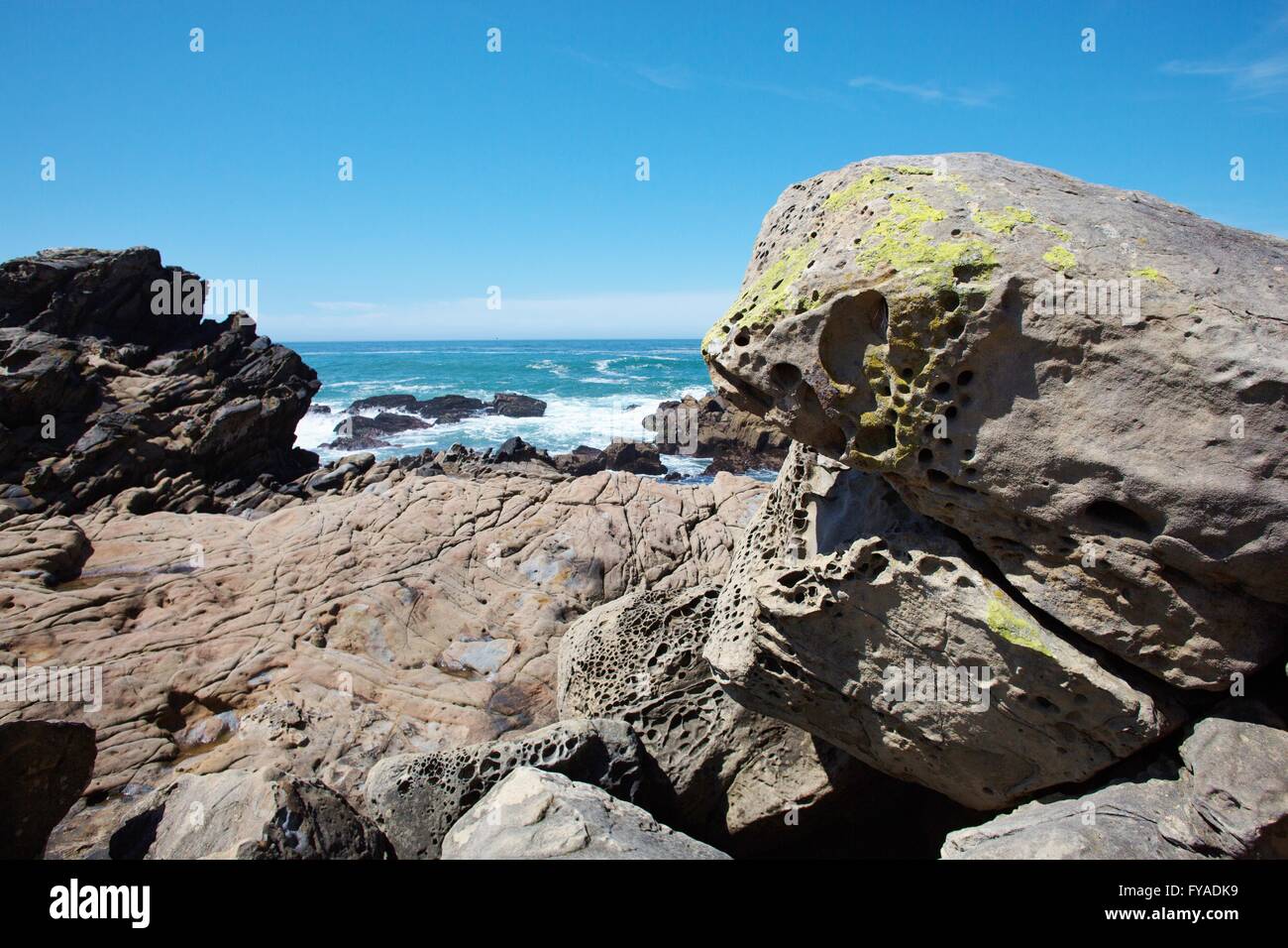 Rock formations at Salt Point State Park on the northern California ...