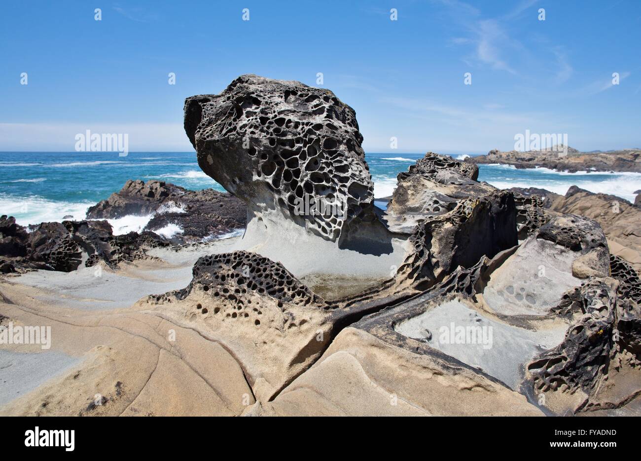 Rock formations at Salt Point State Park on the northern California ...