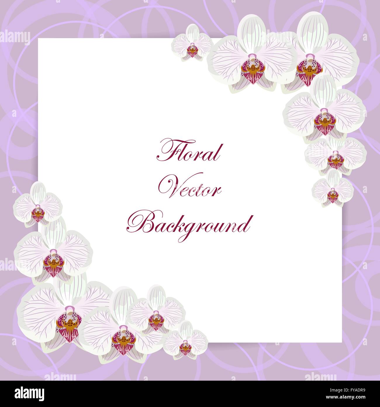 Floral vector background Stock Vector Image & Art - Alamy
