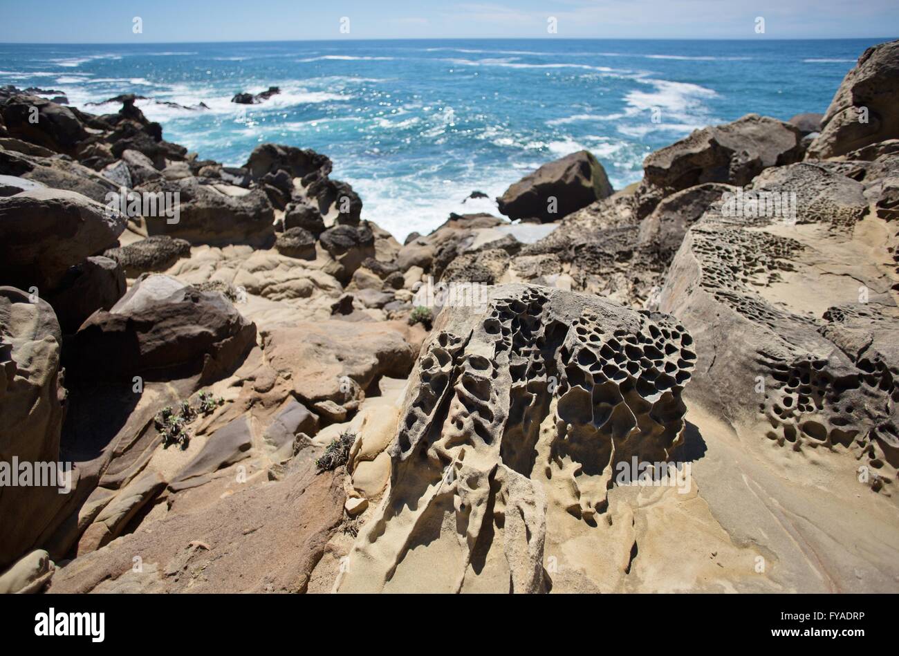 Rock formations at Salt Point State Park on the northern California ...