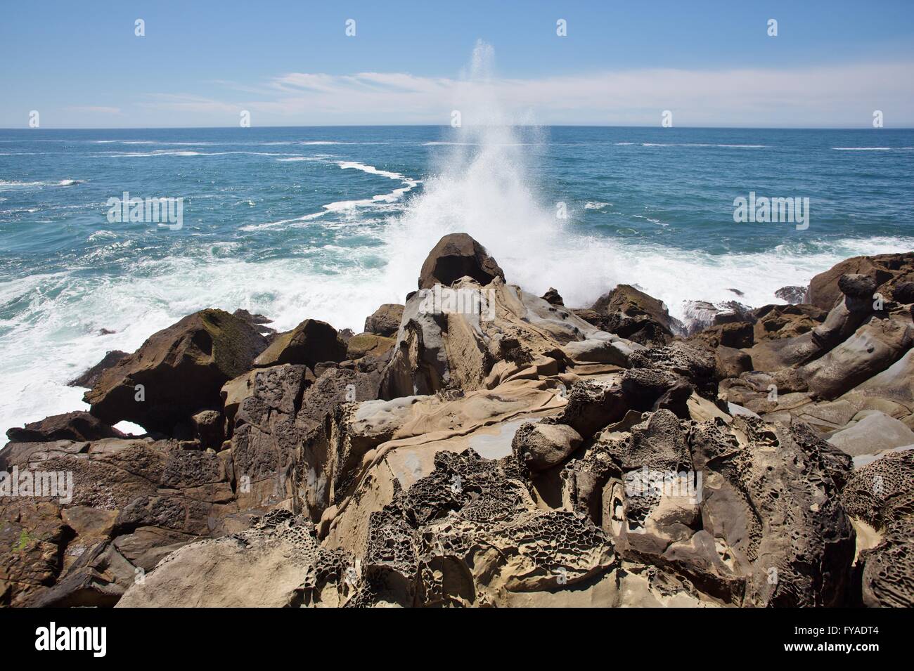 Rock formations at Salt Point State Park on the northern California ...
